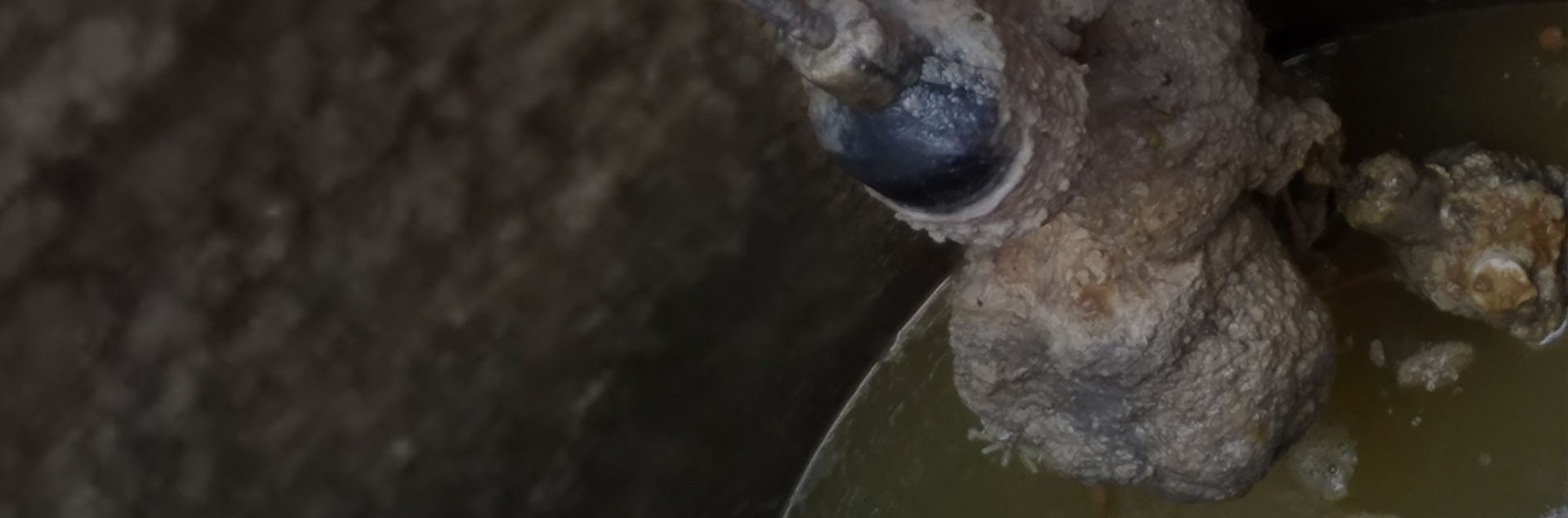 Fox Pump System – San Diego’s Home Pump System Choice